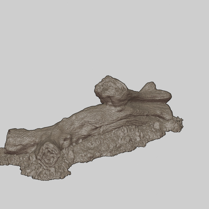 3D Printable Fallen Trunk by Dani Amengual