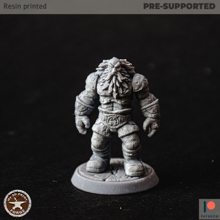 3D Printable Iron Dwarf Standing by My3DPrintForge