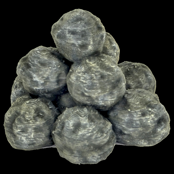 3D Printable [Commercial License] Siege Equipment STL by Dani Amengual