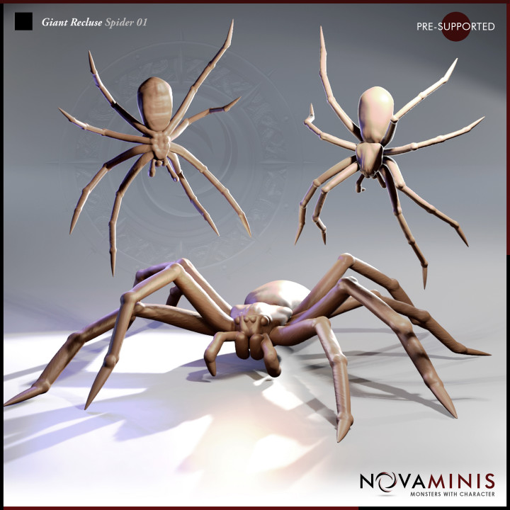 3D Printable Giant Recluse Spider 01 by NOVAMINIS