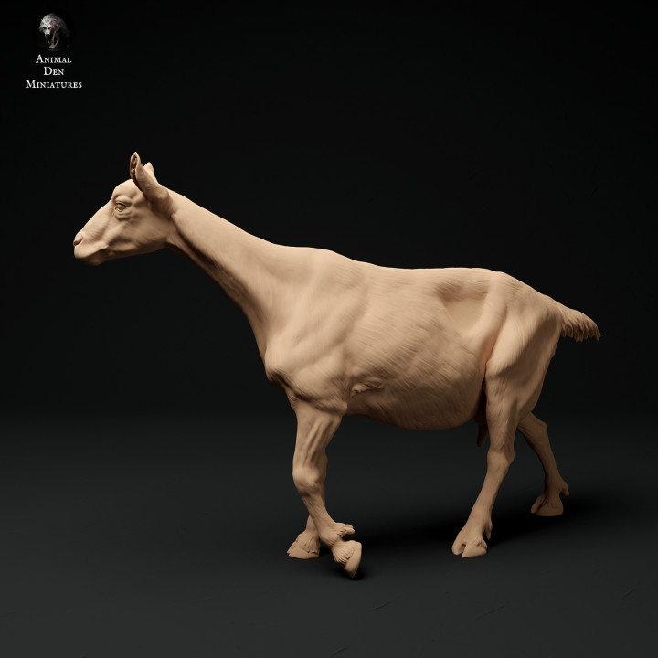 3D Printable Alpine Goat Walk by Animal Den Miniatures