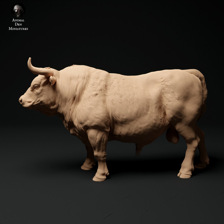 3D Printable Red Devon Bull by Animal Den Miniatures