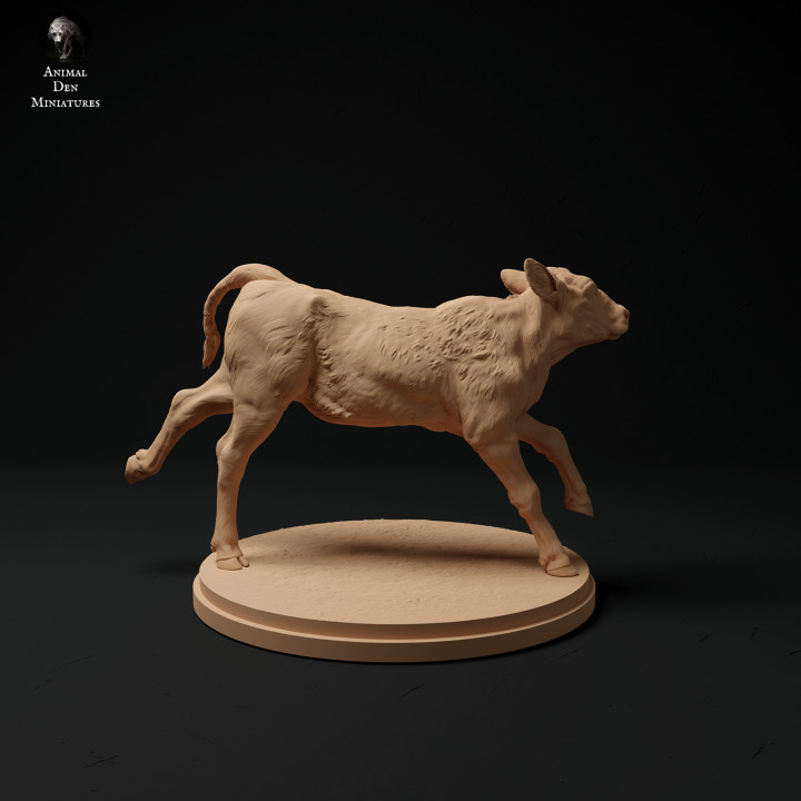 3D Printable Red Devon Calf Run by Animal Den Miniatures