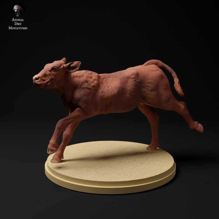 3D Printable Red Devon Calf Run by Animal Den Miniatures