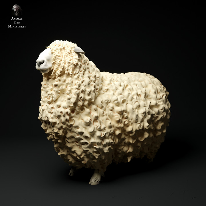 3D Printable Devon and Cornwall Longwool Ram by Animal Den Miniatures