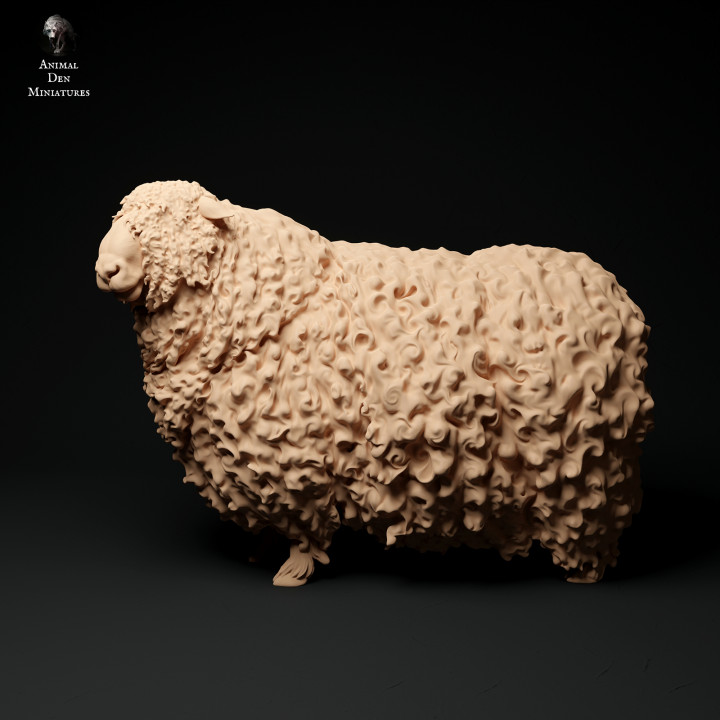 3D Printable Devon and Cornwall Longwool Ram 2 by Animal Den Miniatures
