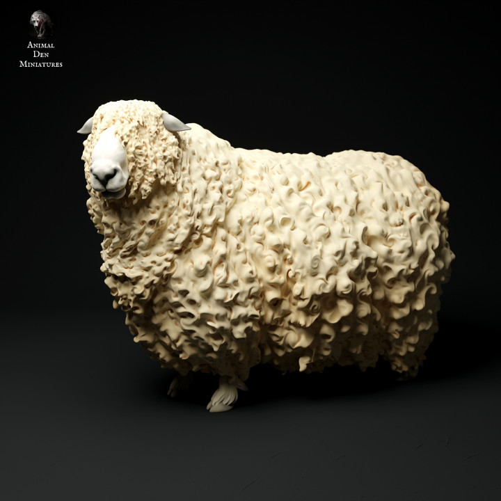 3D Printable Devon and Cornwall Longwool Ram 2 by Animal Den Miniatures