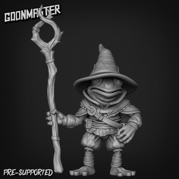 3D Printable Frog Wizard 3 by Goon Master