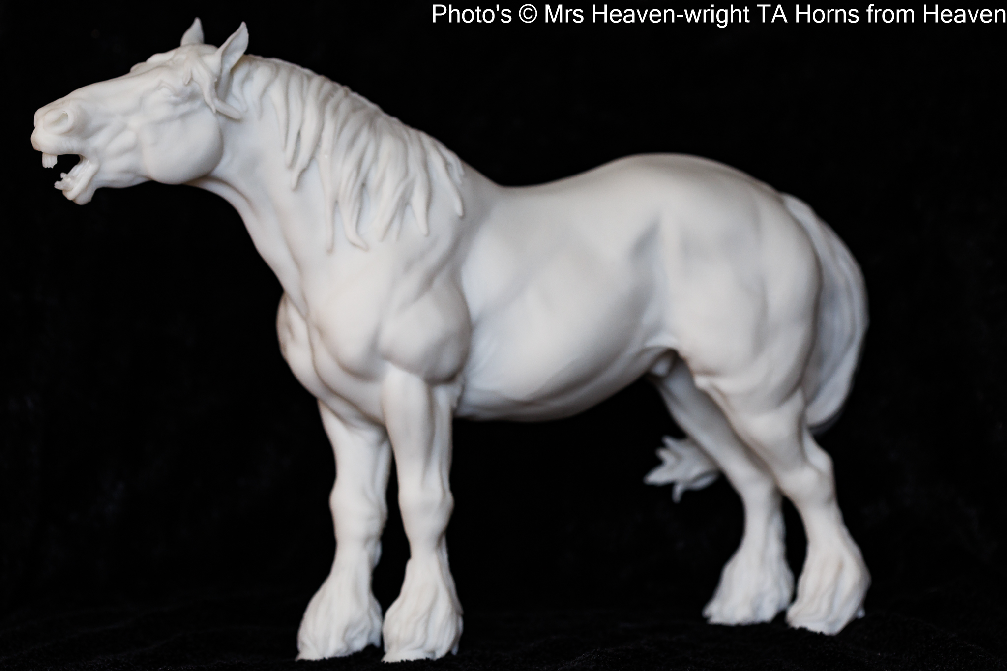 3D Printable Suffolk Punch Horse Neigh by Animal Den Miniatures