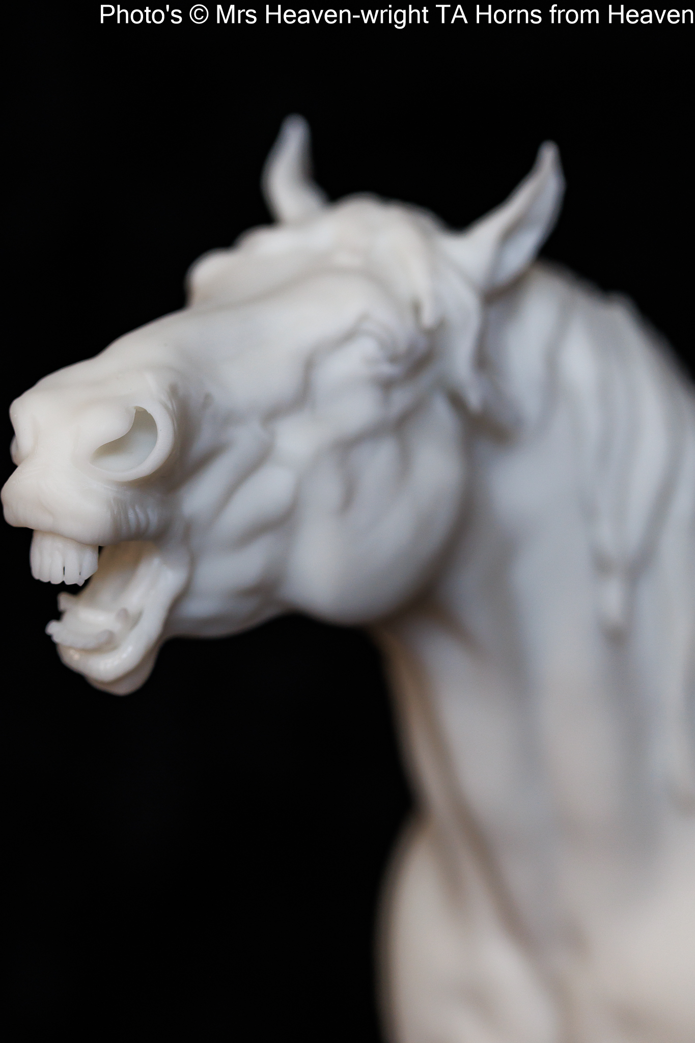 3D Printable Suffolk Punch Horse Neigh by Animal Den Miniatures