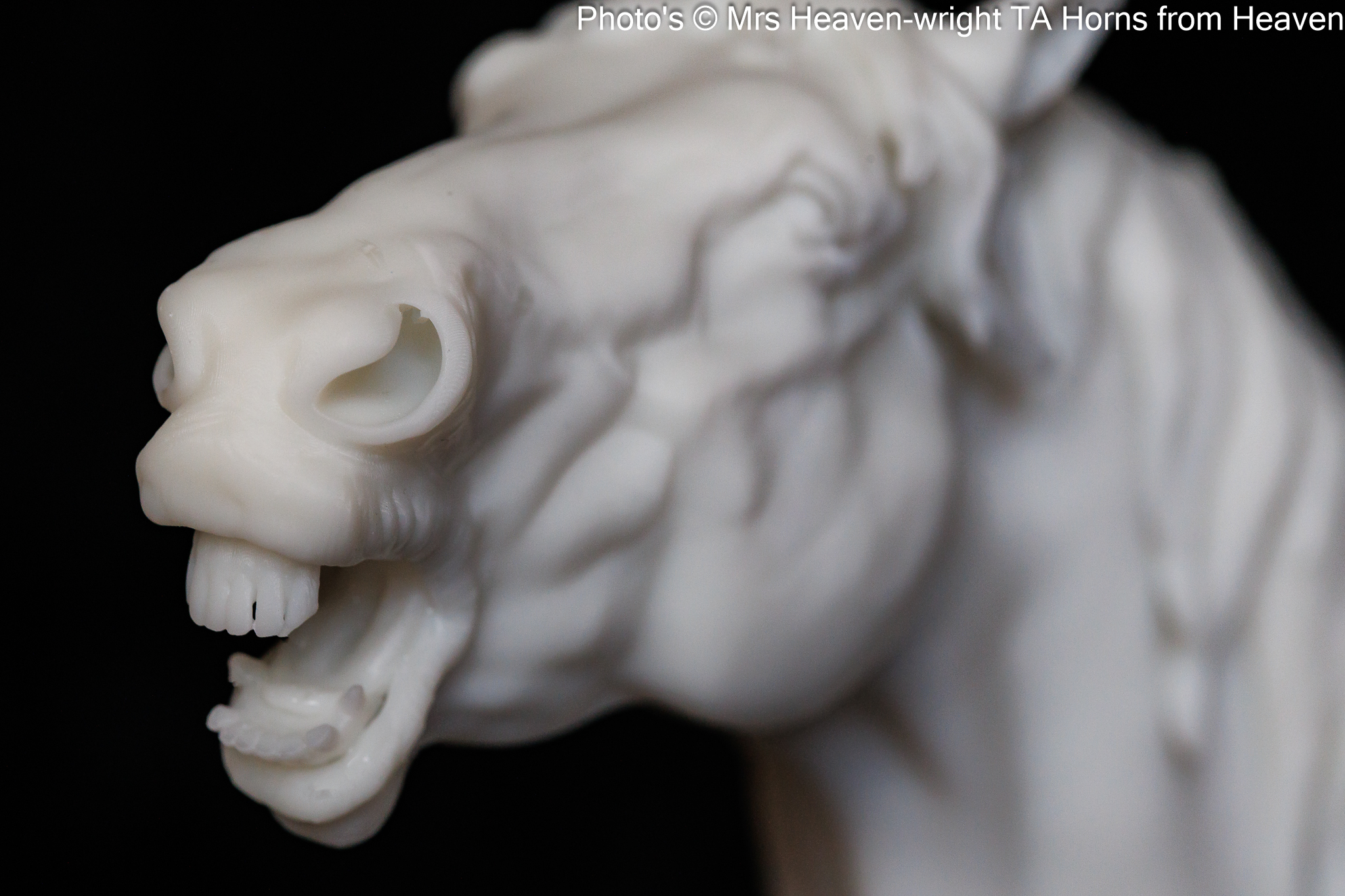 3D Printable Suffolk Punch Horse Neigh by Animal Den Miniatures