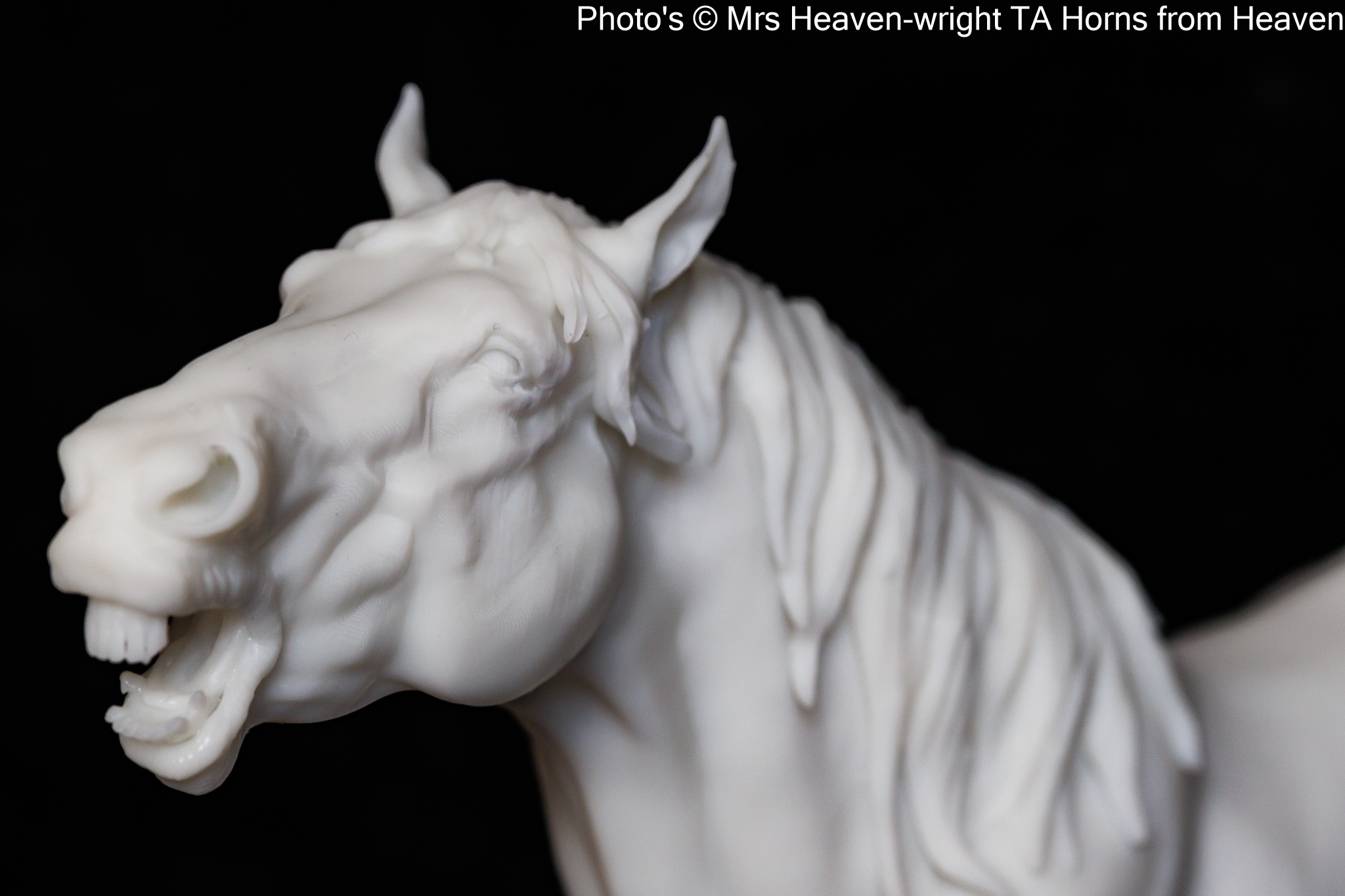 3D Printable Suffolk Punch Horse Neigh by Animal Den Miniatures