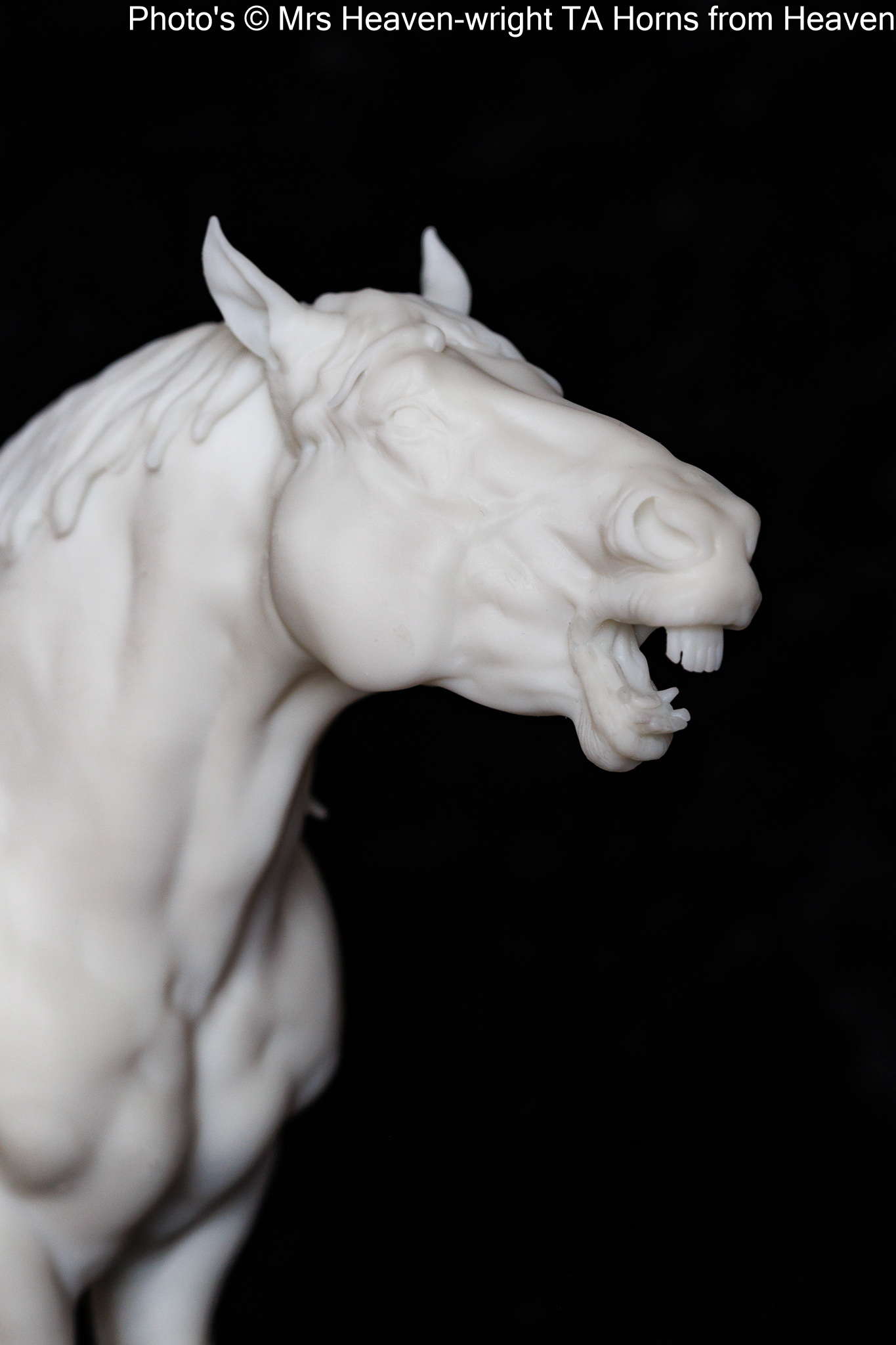 3D Printable Suffolk Punch Horse Neigh by Animal Den Miniatures