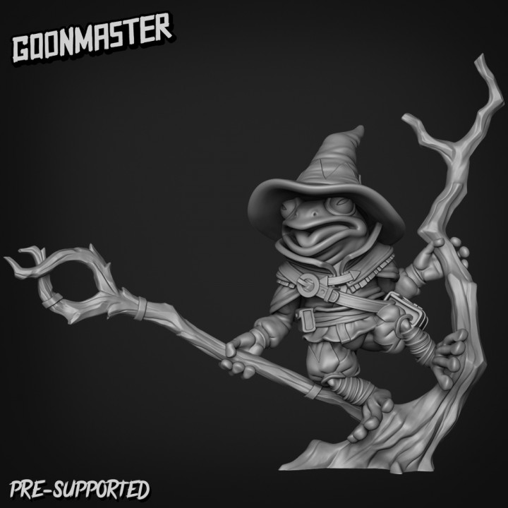 3D Printable Frog Wizard 4 by Goon Master
