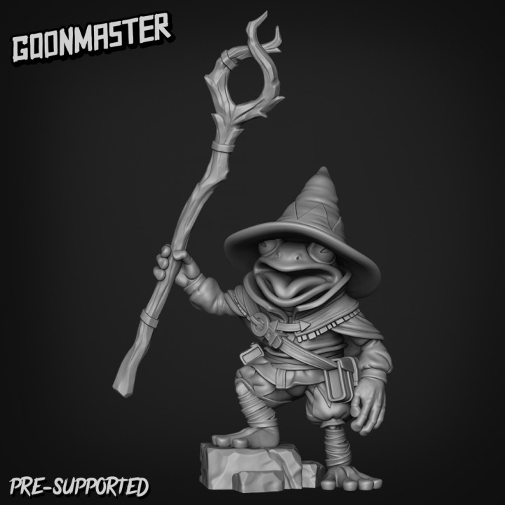 3D Printable Frog Wizard 6 by Goon Master