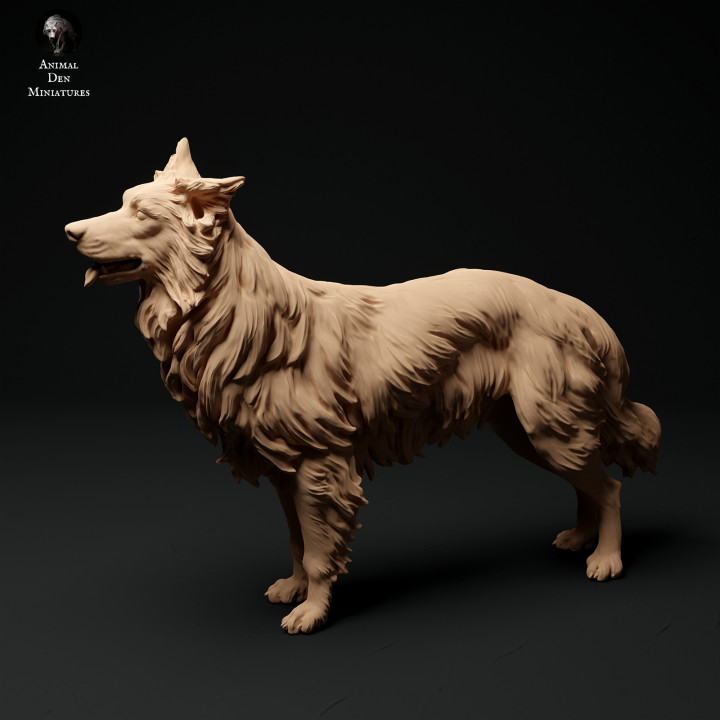3D Printable Border Collie Dog Pack by Animal Den Miniatures