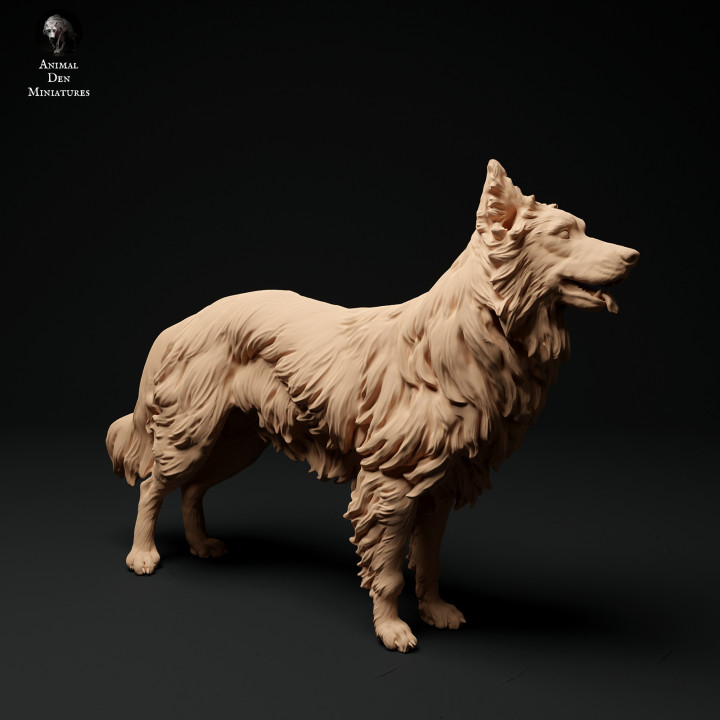 3D Printable Border Collie Dog Pack by Animal Den Miniatures