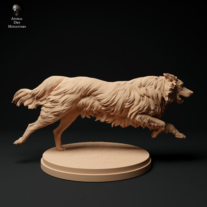 3D Printable Border Collie Dog Pack by Animal Den Miniatures