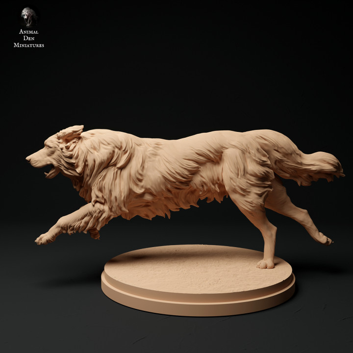 3D Printable Border Collie Dog Pack by Animal Den Miniatures