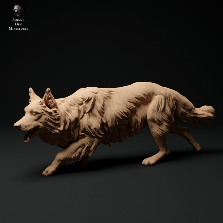 3D Printable Border Collie Dog Pack by Animal Den Miniatures