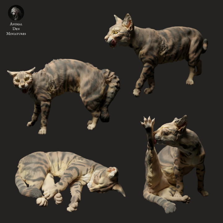 3D Printable Domestic Cat Pack by Animal Den Miniatures