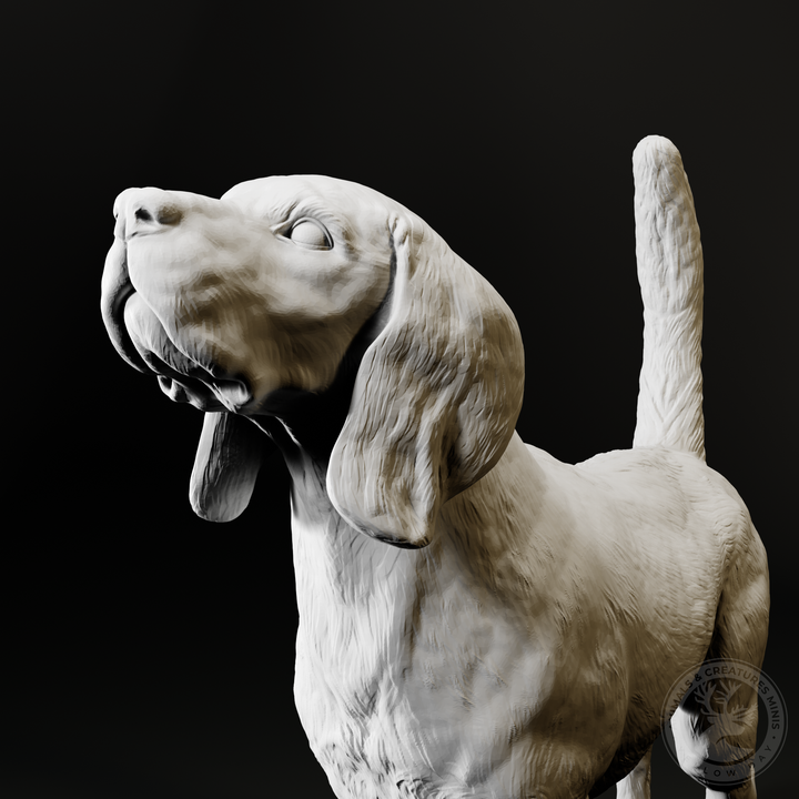 3D Printable Beagle by Animals & Creatures Minis