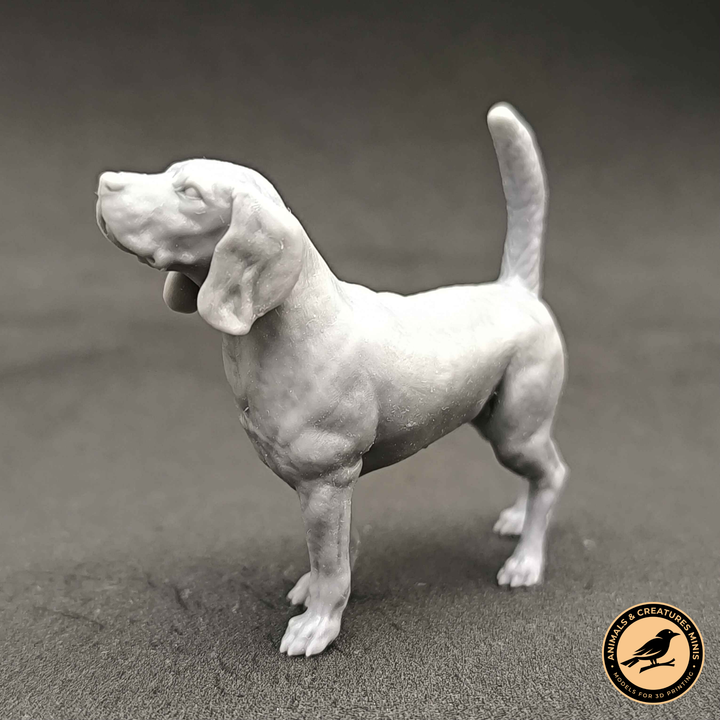 3D Printable Beagle by Animals & Creatures Minis
