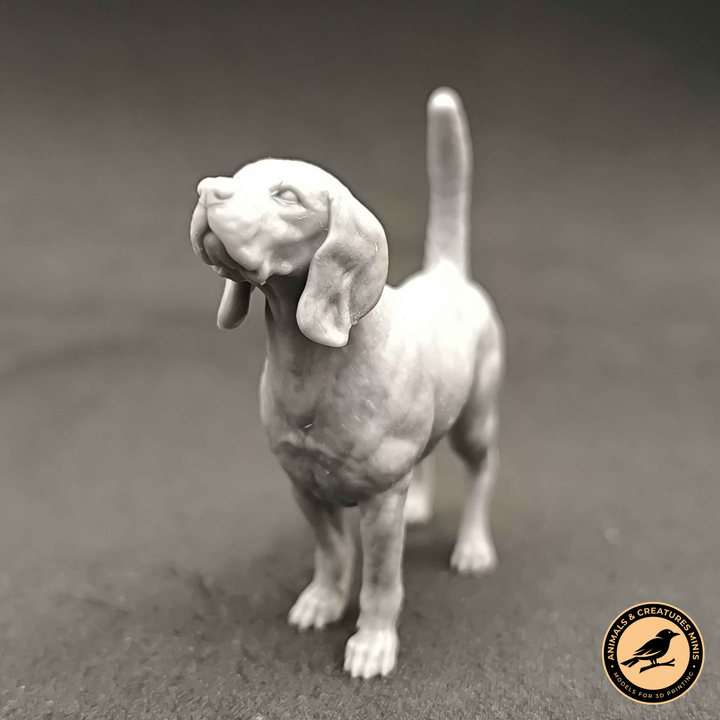 3D Printable Beagle by Animals & Creatures Minis
