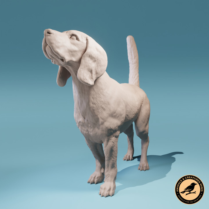 3D Printable Beagle by Animals & Creatures Minis