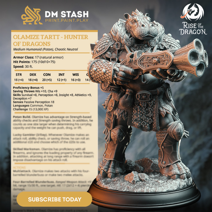 3D Printable DM Stash 5E Campaign - Draconic Hollows by DM Stash
