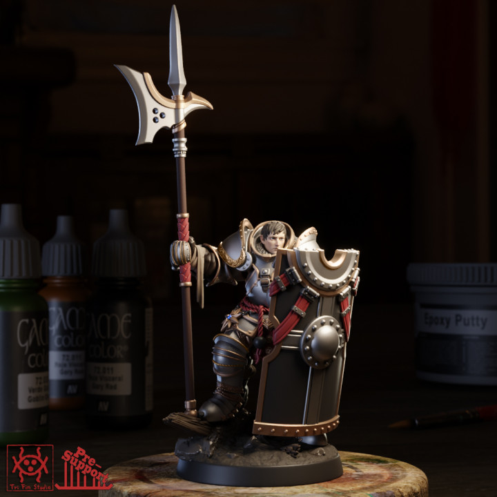 3D Printable Adventurer - Heavy Armored Male Knight by Tri Fin Studio