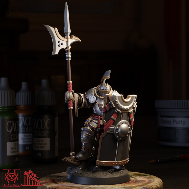 3D Printable Adventurer - Heavy Armored Male Knight by Tri Fin Studio