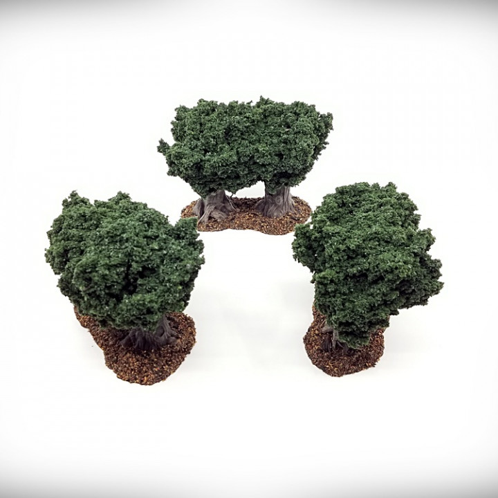 3D Printable Deciduous Trees Deluxe Bundle by Terrainify 3D Printable Deciduous Trees Deluxe Bundle by Terrainify