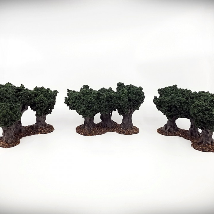 3D Printable Deciduous Trees Deluxe Bundle by Terrainify 3D Printable Deciduous Trees Deluxe Bundle by Terrainify