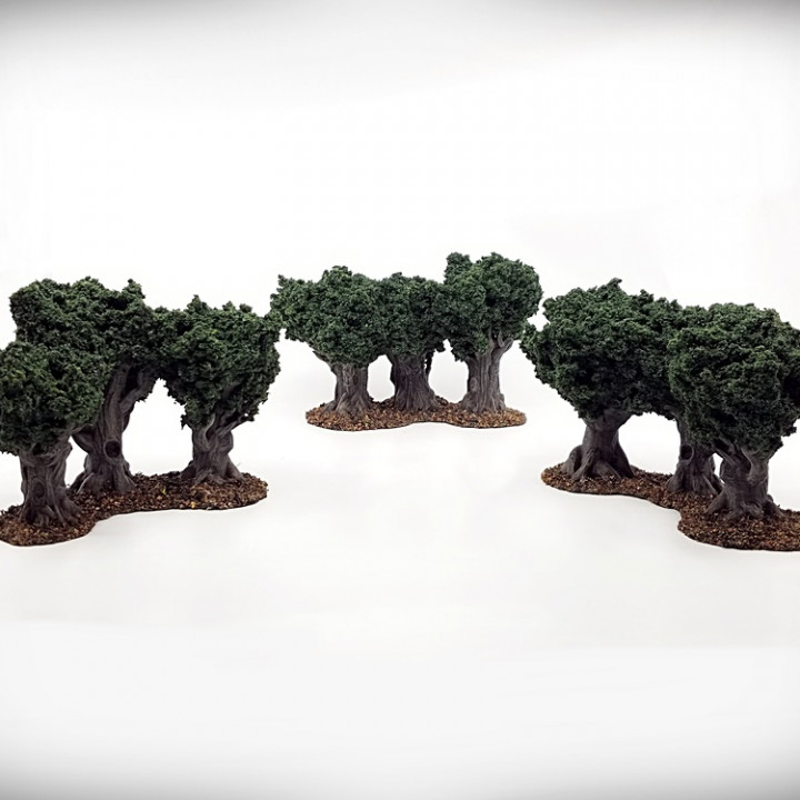 3D Printable Deciduous Trees Deluxe Bundle by Terrainify 3D Printable Deciduous Trees Deluxe Bundle by Terrainify