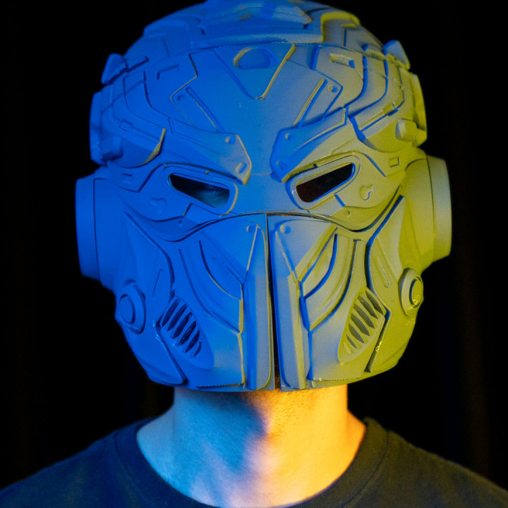 3D Printable Lone Wolf Mask by Stlflix