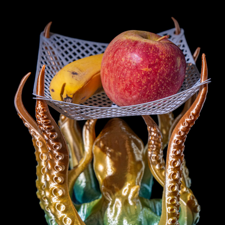 3D Printable Fishing Net Drama by Stlflix