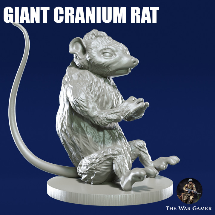 3D Printable Giant Cranium Rat by The WarGamer