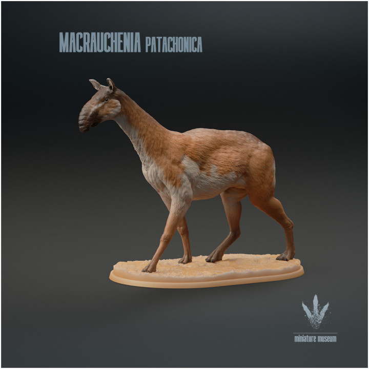 3D Printable Macrauchenia patachonica : The Long Llama by Miniature Museum
