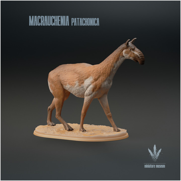 3D Printable Macrauchenia patachonica : The Long Llama by Miniature Museum