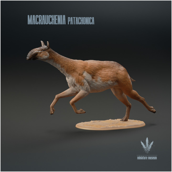 3D Printable Macrauchenia patachonica : Running by Miniature Museum