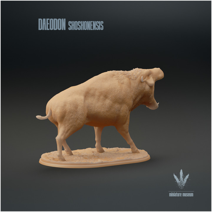 3D Printable Daeodon shoshonensis : The Hell Pig by Miniature Museum