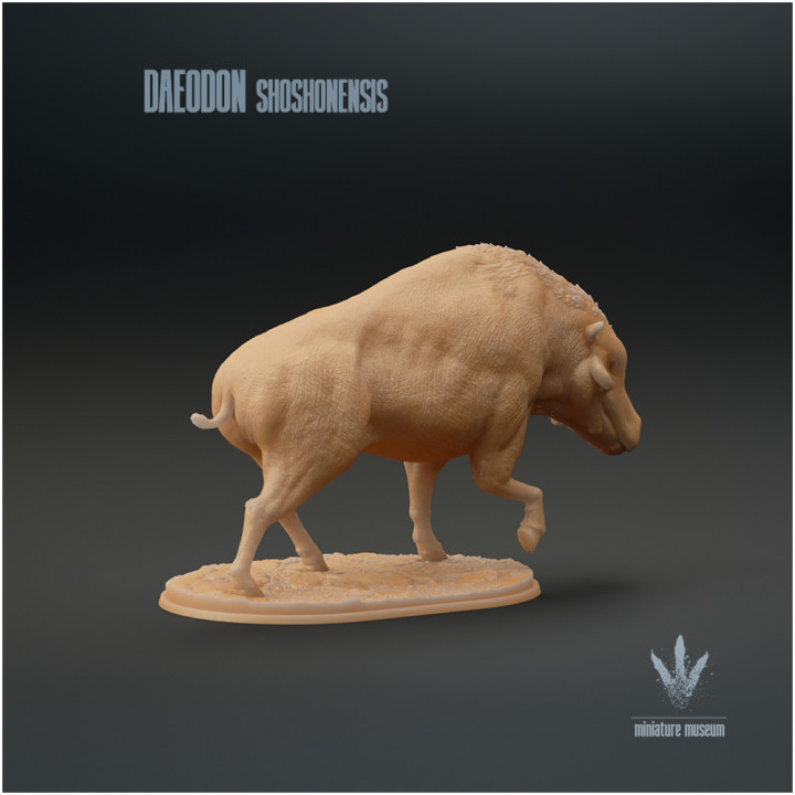3D Printable Daeodon shoshonensis : Walking by Miniature Museum