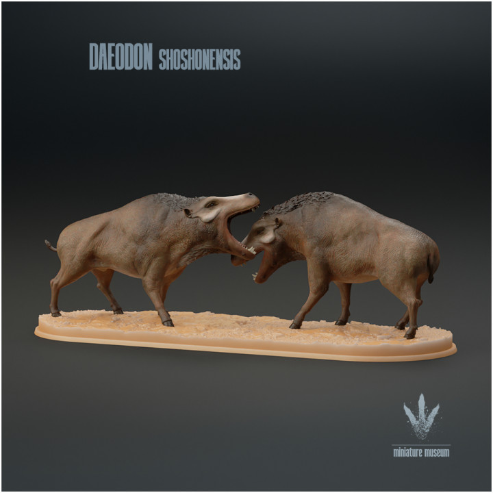 3D Printable Daeodon shoshonensis : Fighting Pigs by Miniature Museum