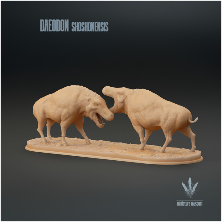 3D Printable Daeodon shoshonensis : Fighting Pigs by Miniature Museum