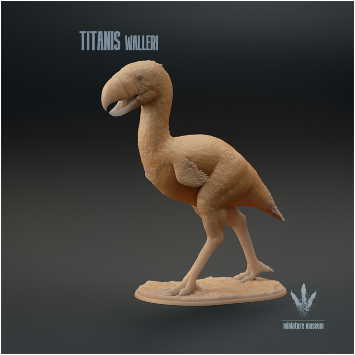 3D Printable Titanis walleri : The Terror Bird by Miniature Museum