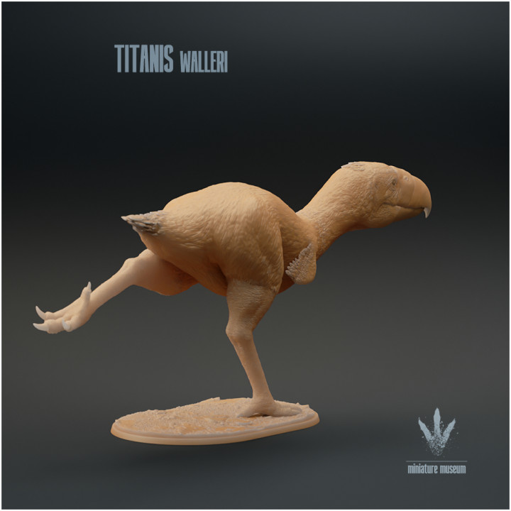 3D Printable Titanis walleri : Running by Miniature Museum