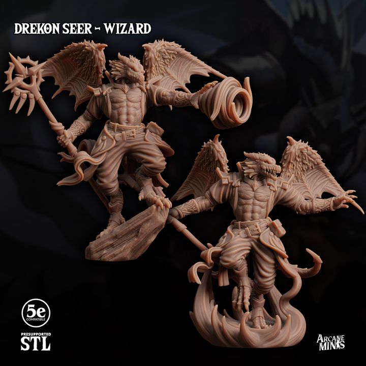 3D Printable Drekon Seer - Wizard by Sordane Publishing