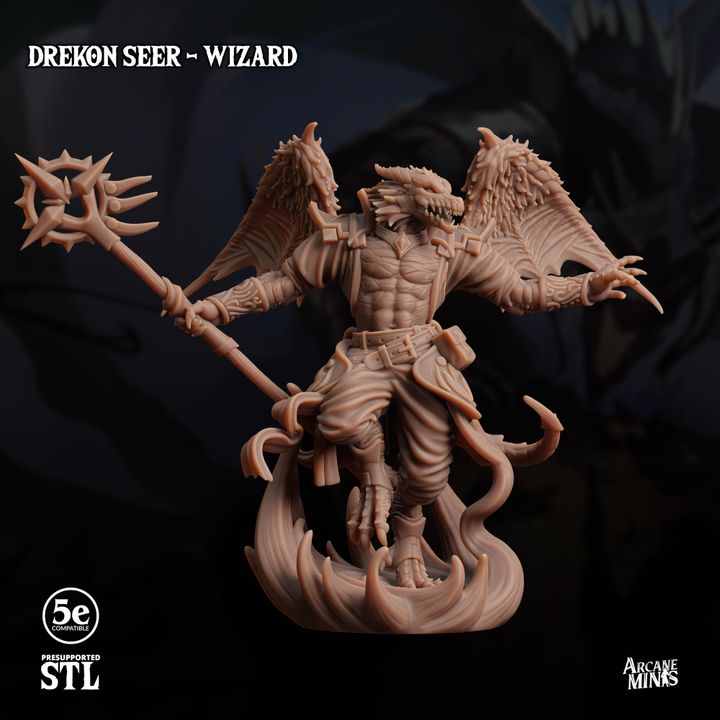 3D Printable Drekon Seer - Wizard by Sordane Publishing