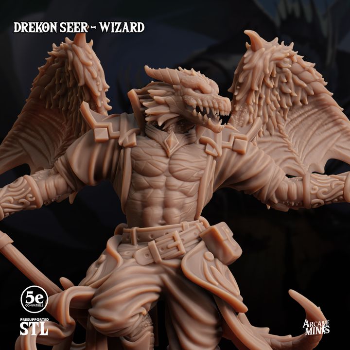 3D Printable Drekon Seer - Wizard by Sordane Publishing